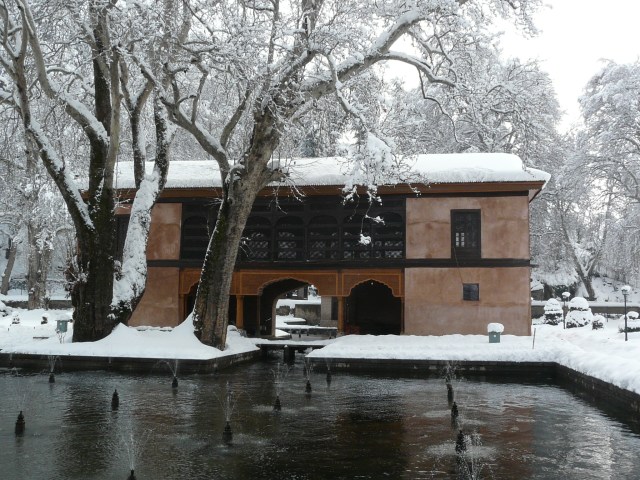 Achabal Bagh in the Winter | Sarson ke Khet